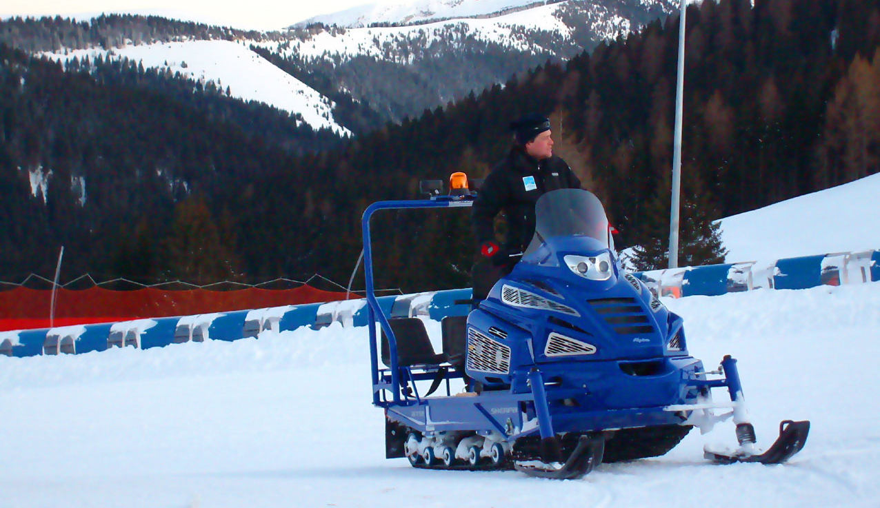 Alpina Snowmobile SHERPA 1.4L 8V - CC2 Vehicle Suggestions - Car ...